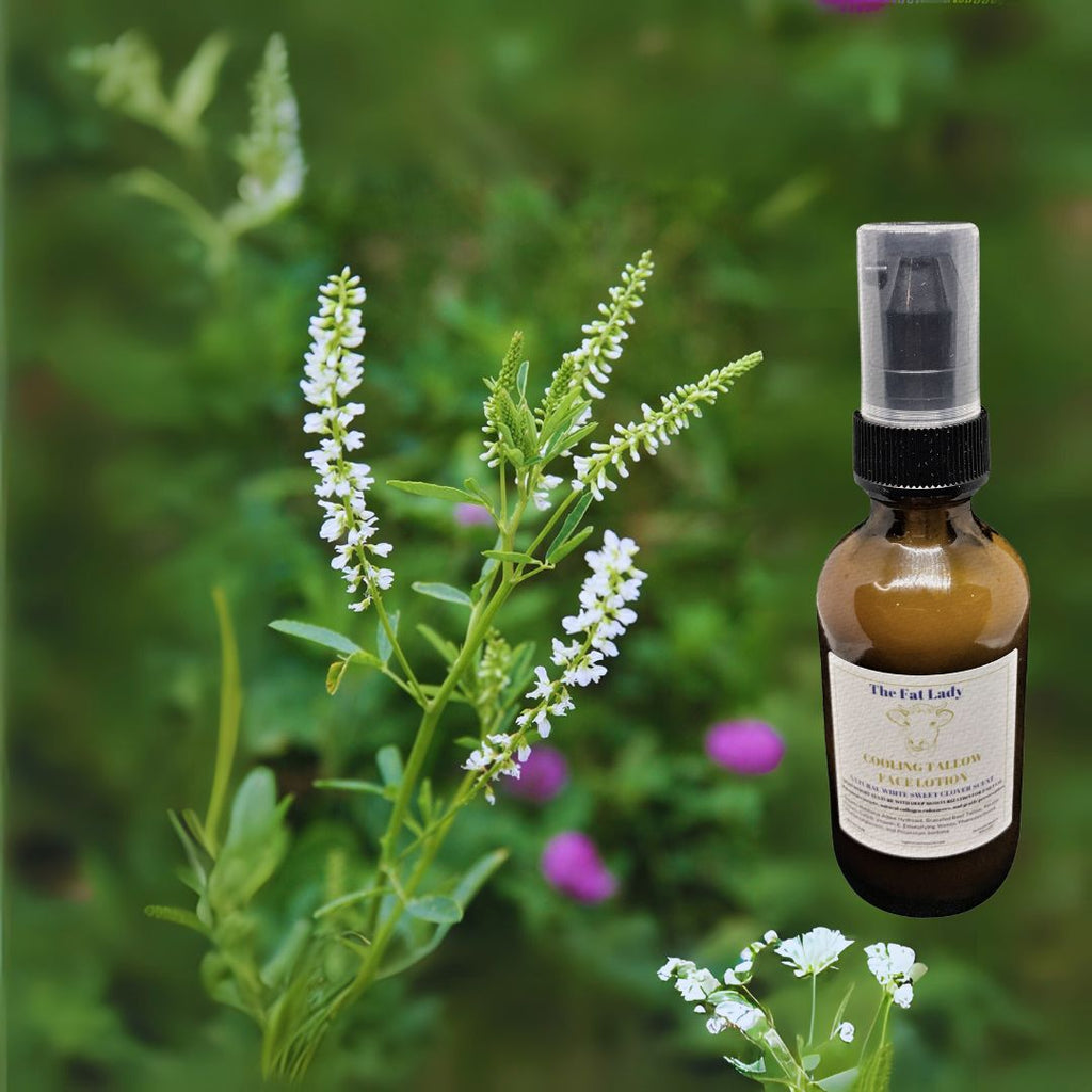 Cooling Tallow Face Lotion for Mature Skin – With Botanical Extracts ...