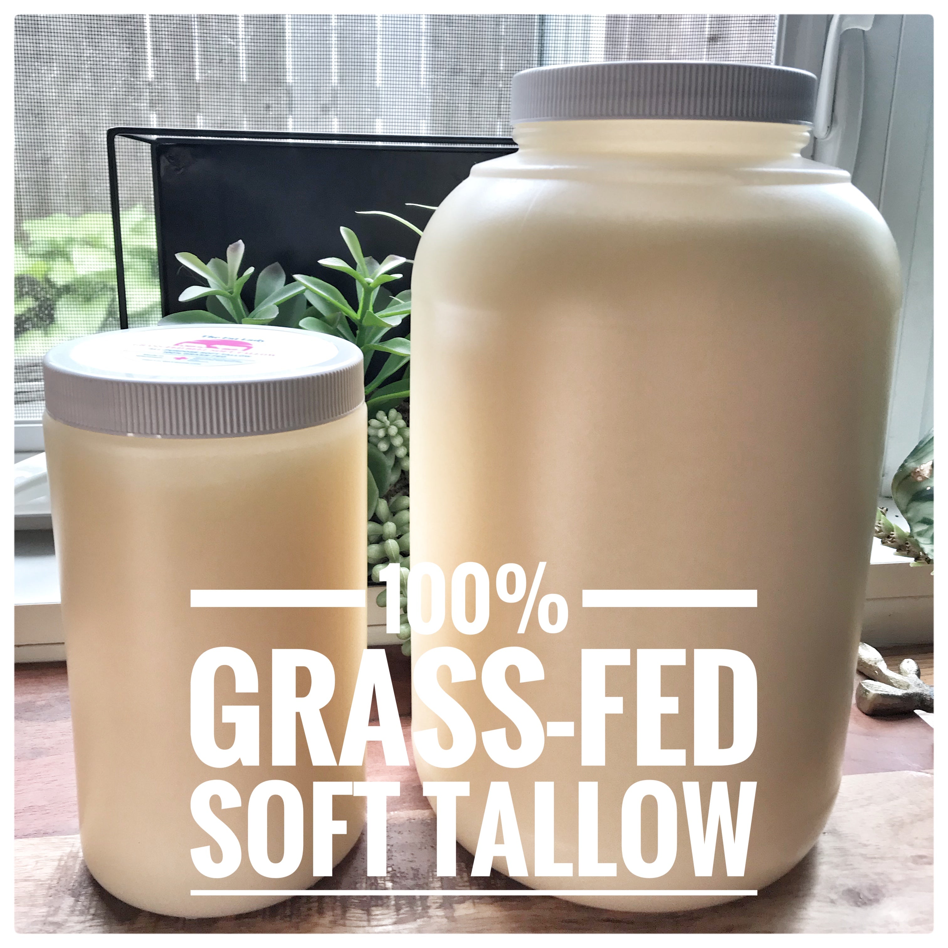 NEW! Premium Grass-fed Beef Soft Tallow Fat. Bulk Size Buckets. – The ...
